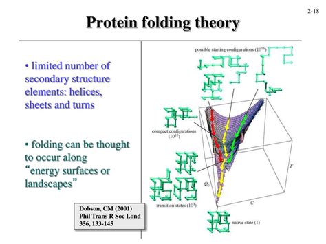 Ppt Proteins Structure Translation Etc Powerpoint Presentation