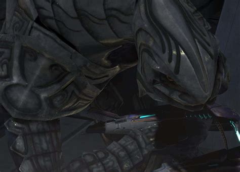 Halo 3 Arbiter Wallpaper