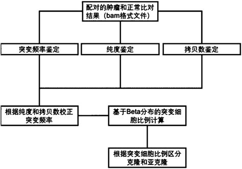 Tumor Cloning Mutation Detection Method And Device Based On Next