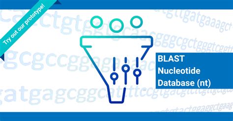 Re Evaluating The Blast Nucleotide Database Nt Ncbi Insights