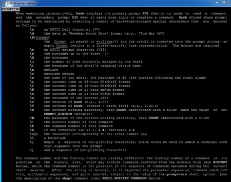 Raspberry Pi Programming Change The Prompt Color In BASH
