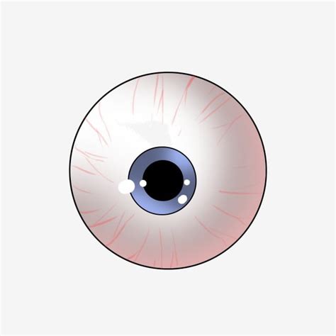중요한 손으로 그리는 패턴의 기관 안구 인체 일러스트 일러스트가 요구하는 기능 수작업 된 장기 안구 클립 아트 중요한 자유형 도안 기관 안구 인간 장기 Png 일러스트