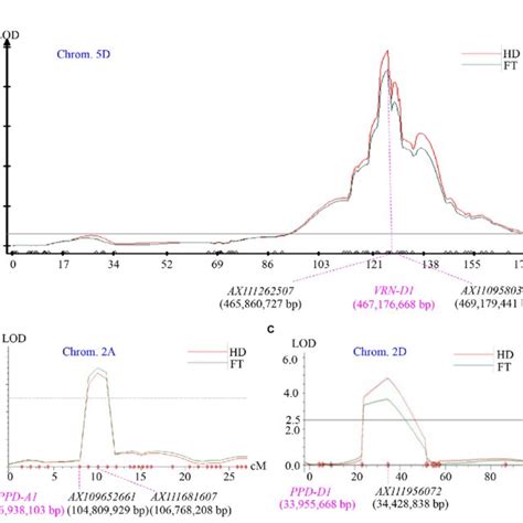 Mapping Of Quantitative Trait Loci Qtls For Heading Date Segregated