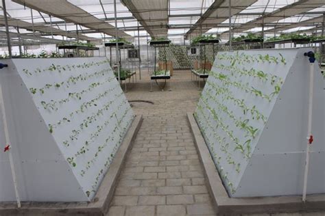 立体栽培之气雾培项目建设 北京农立方温室工程技术有限公司