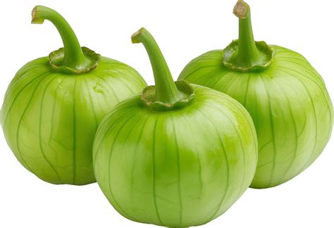 Tomatillo Vegetable Isolated Husk Tomato Clipart Fresh Few Tomatillo