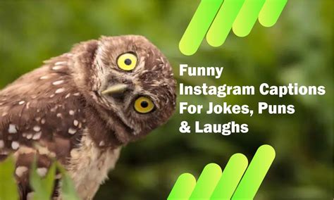 Funny Instagram Captions For Jokes Puns And Laughs Aitechtonic
