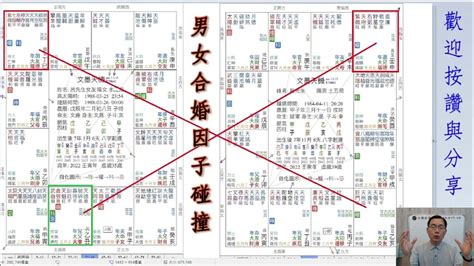 紫微斗數洩天機客戶案例男女紫微斗數合盤雙方因子碰撞案例 紫微斗數論命 紫微斗數教學蔡添逸紫微斗數 Youtube