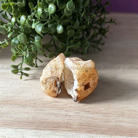 Clear Quartz Opening Geodes Shubhanjali Care For Your Mind Body And Soul