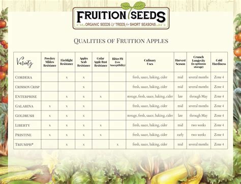 Organic Triumph Semi Dwarf Apple Tree Fruition Seeds
