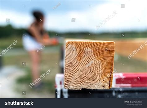 Woman Impregnates Raw Planed Wooden Pine Stock Photo Shutterstock