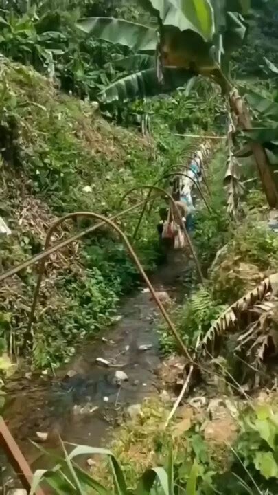 Brian H Rutledge On Linkedin Ingenious