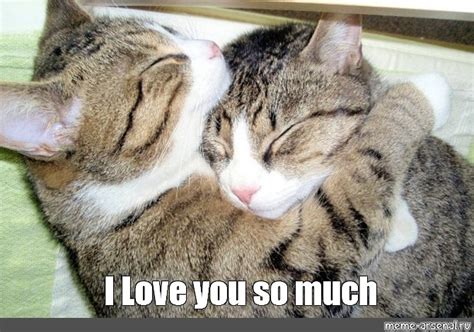 Meme I Love You So Much All Templates Meme