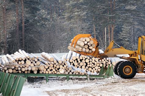 목재를 로드합니다 숲 로그 트랙터를 언로 드 산림 산업입니다 갈고리 발톱에 대한 스톡 사진 및 기타 이미지 갈고리 발톱 갈색 농업 기계 Istock