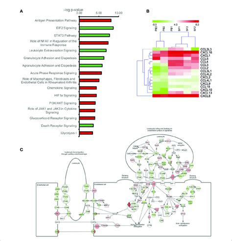 Transcriptomic Analysis Of Genes Differently Expressed 1 5 Fold
