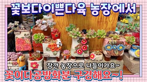 다육집사님들의 성지 꽃보다이쁜다육 농장에서 꽃이다공방 화분을 만나봅시다 Youtube