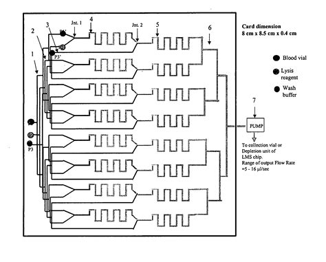 Microfluidic Device For Cell Separation And Uses Thereof Eureka Patsnap