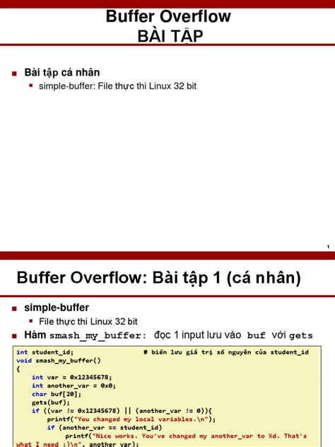 buffer overflow pdf