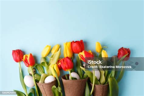 봄 시즌 인사말 카드 행복한 부활절 개념 밝은 파란색 배경에 여러 가지 빛깔의 튤립과 계란 복사 공간 판매 할인 축하 배너 4월에 대한 스톡 사진 및 기타 이미지 Istock