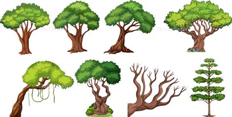 وکتور با کیفیت انواع درخت
