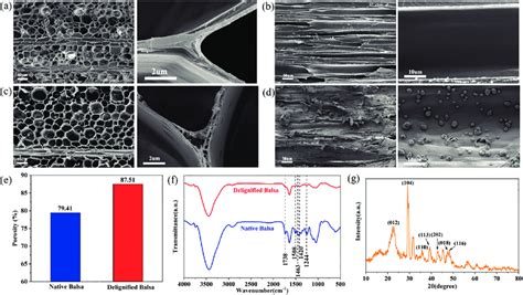 Cross Sectional A And Longitudinal Section B SEM Images Of Native Download Scientific