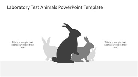 Science Laboratory Animal Testing Slidemodel