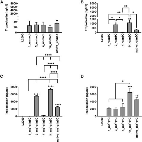 improved tropoelastin synthesis in the skin by codon optimization and nucleotide modification of