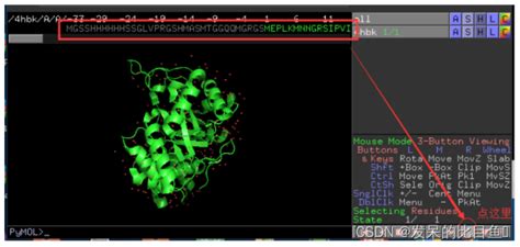 Pymol入门教程 基础 Csdn博客