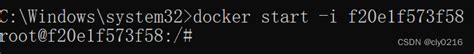 windows（10专业版and11）使用docker安装深度学习环境 pytorch gpu pytorch pytorch 1 10 0 cuda11 3 cudnn8 devel