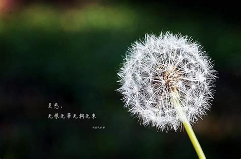 越是害怕赚不够钱，越是会夭折在赚钱路上，留下花不完的钱 知乎