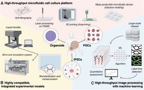 Components For Facilitating High‐throughput Microfluidic Cell Culture Download Scientific