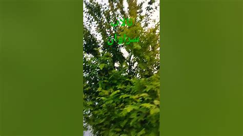 تالاب سراوان تالاب سراوان مکان شمال جاهای دیدنی Youtube