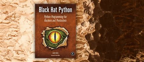Black Hat Python Pdf Free Download