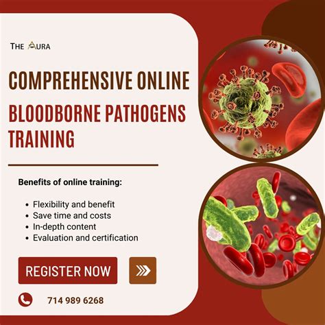 Comprehensive Training On Bloodborne Pathogens Online