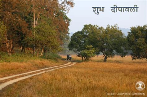 Vanam Ecologics On Linkedin Wishing Everyone A Safe And Prosperous