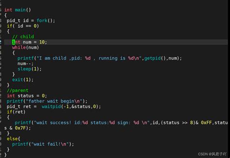 理解和使用wait与waitpid：处理子进程的退出与僵尸状态 Csdn博客