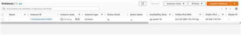 launch an ec2 instance using terraform