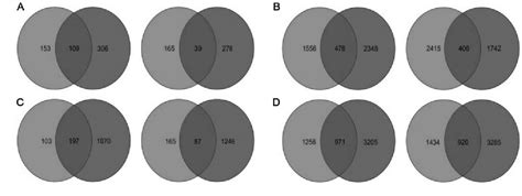 Figure 2 From Disruption Of Mapk1 Expression In The Erk Signalling