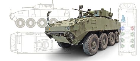 El Primer Vcr 8x8 Dragón De Infantería En La Recta Final De Su Fabricación