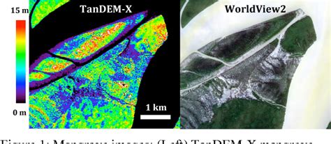 Figure 1 From Large Scale Mangrove Canopy Height Map Generation From