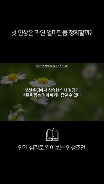 첫 인상은 과연 얼마만큼 정확할까 인생조언 삶의지혜 인생명언 오디오북 인간관계 좋은글 자기계발 Youtube