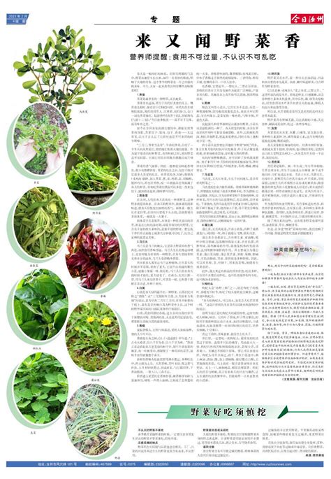 今日汝州智慧全媒体数字报 第3212期 第04版 专刊