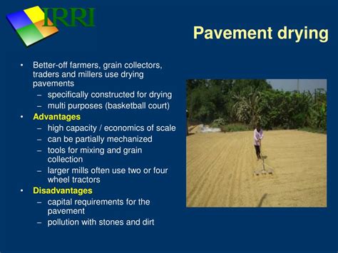 Ppt Paddy Drying Systems Powerpoint Presentation Free Download Id 252572