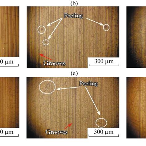 Micrographs Of The Disk Wear Surface Peek A Peek30cf B
