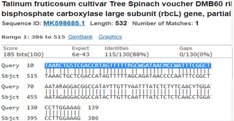Morphological And Molecular Characterization Of Gnetum Africanum Welw Germplasm Using Dna