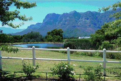 C Halftone Effect In With Gdi Stack Overflow