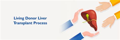 Risks And Criteria For Living Donor Liver Transplant