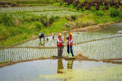 浙江新昌：助农节省夏收夏种电费 人民图片网