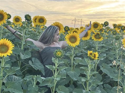 Професионална гимназия по лека промишленост екология и химични технологии ПГЛПЕХТ Ямбол