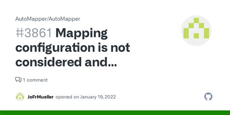 mapping configuration is not considered and constructor is used instead · issue 3861