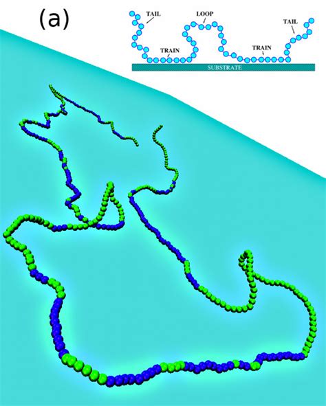 Linear Dimensions Of Adsorbed Semiflexible Polymers What Can Be
